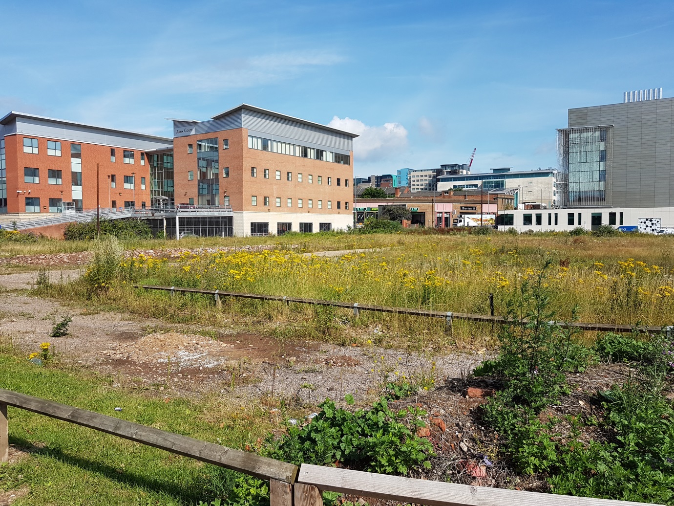 Nottingham Island Urban Regeneration Project - Avian Ecology